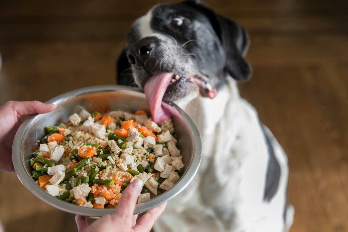 Top Shelf Dog | Shelf Stable Restaurant-Quality Dog Food