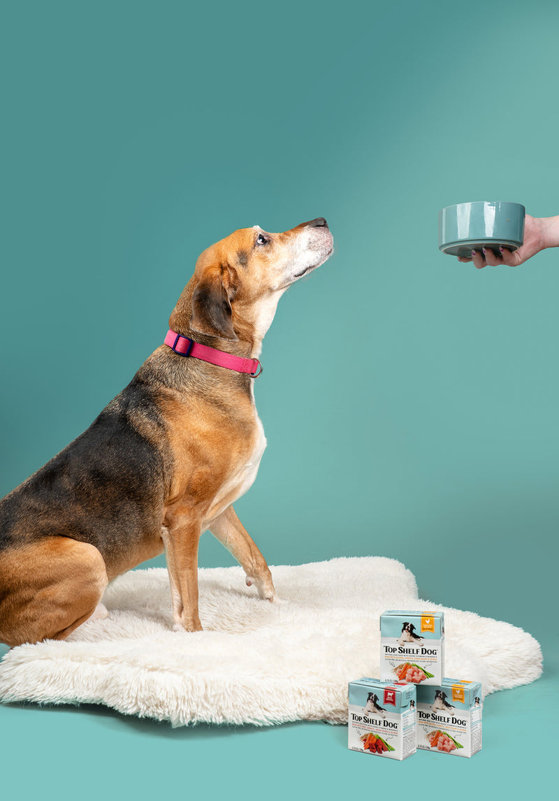 Top Shelf Dog | How It Works