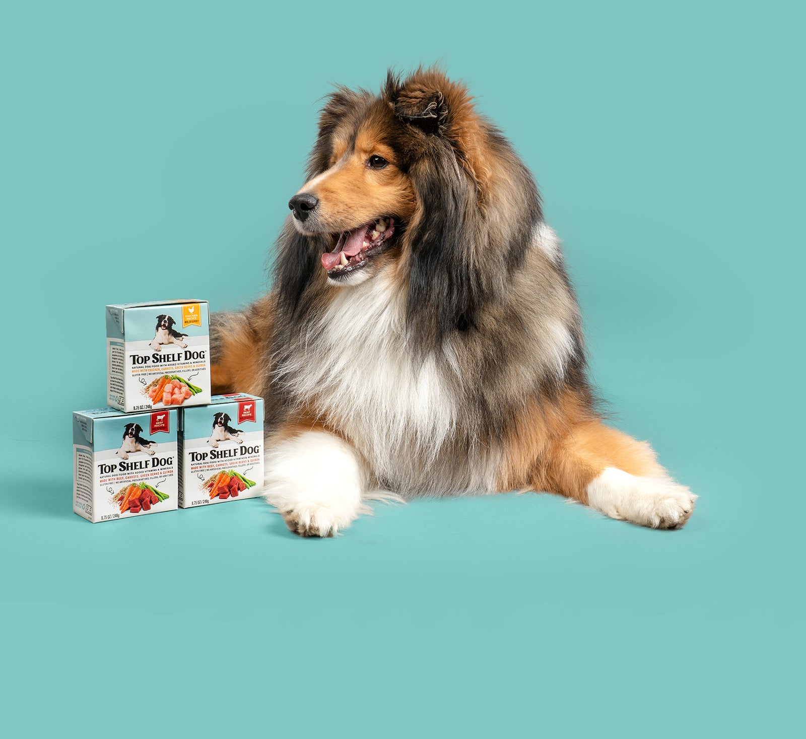 Top Shelf Dog | Shelf Stable Restaurant-Quality Dog Food