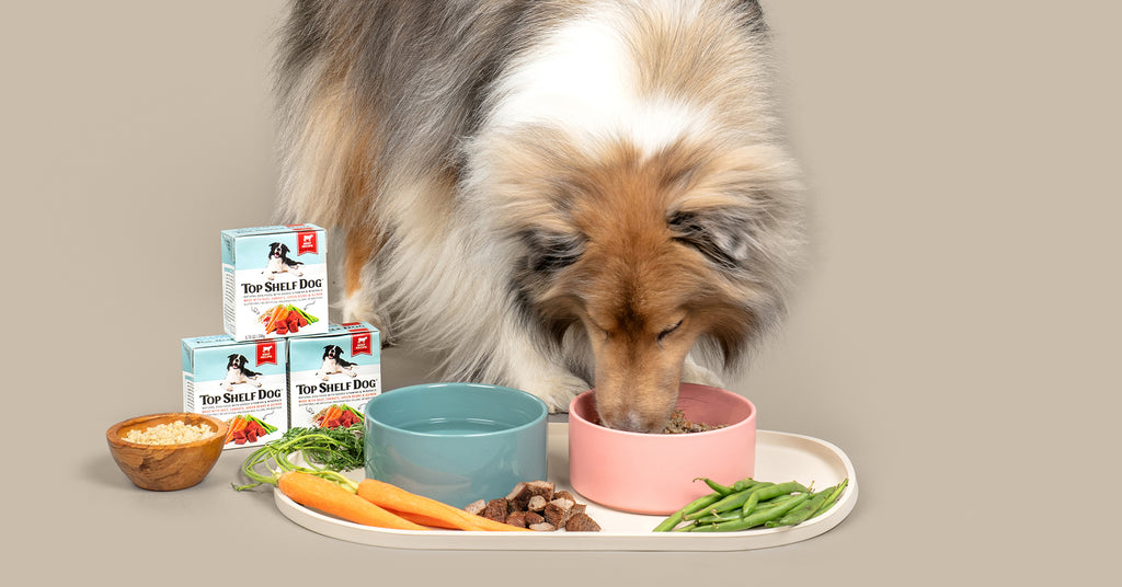 Top Shelf Dog | Shelf Stable Restaurant-Quality Dog Food